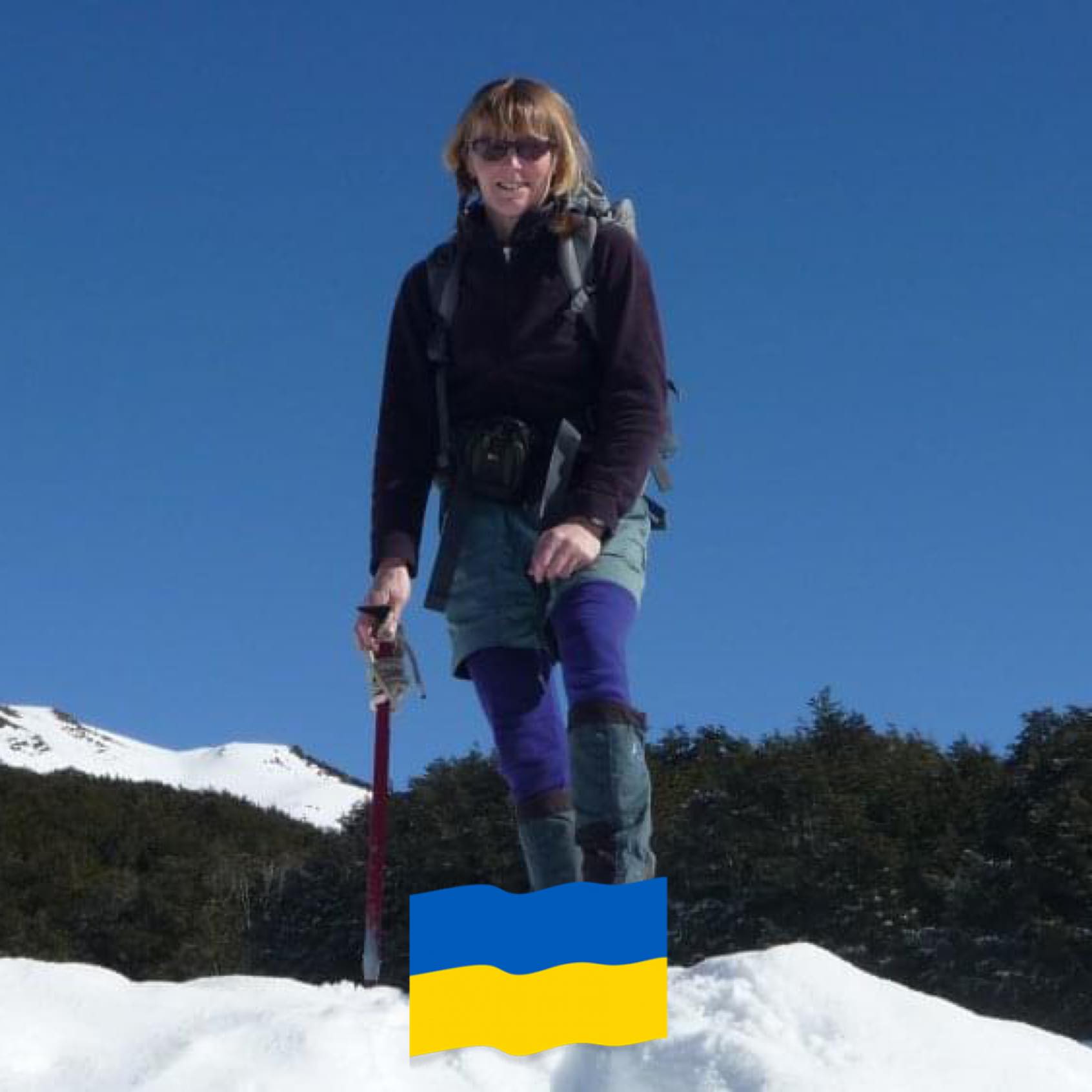 What we do – The Tawaki Project