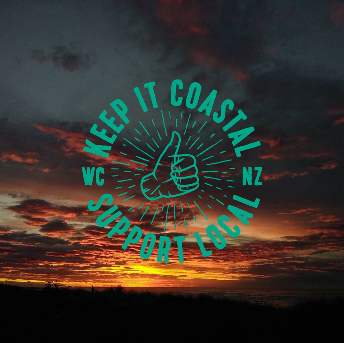 What we do – The Tawaki Project